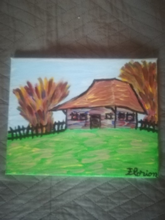 TABLOU PE PANZA CU SASIU NOU 24X30 CM CASA BATRANEASCA PRET 20 LEI ...