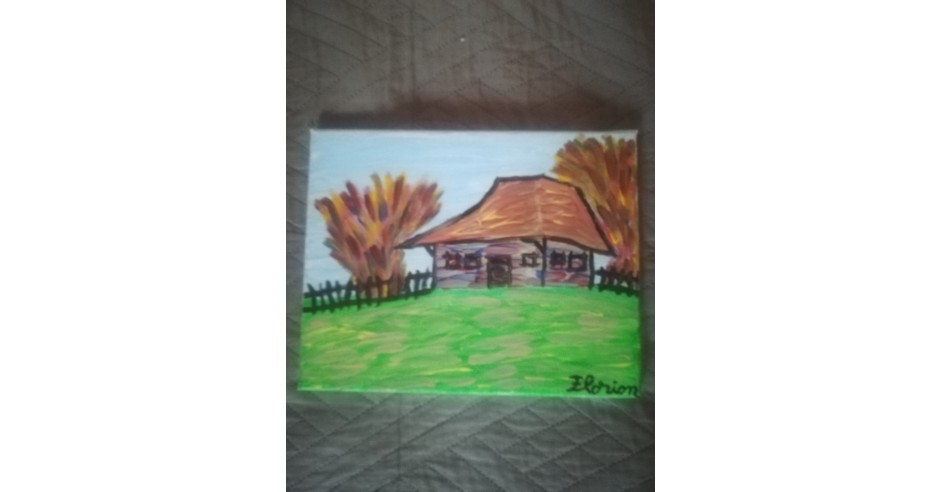 TABLOU PE PANZA CU SASIU NOU 24X30 CM CASA BATRANEASCA PRET 20 LEI ...