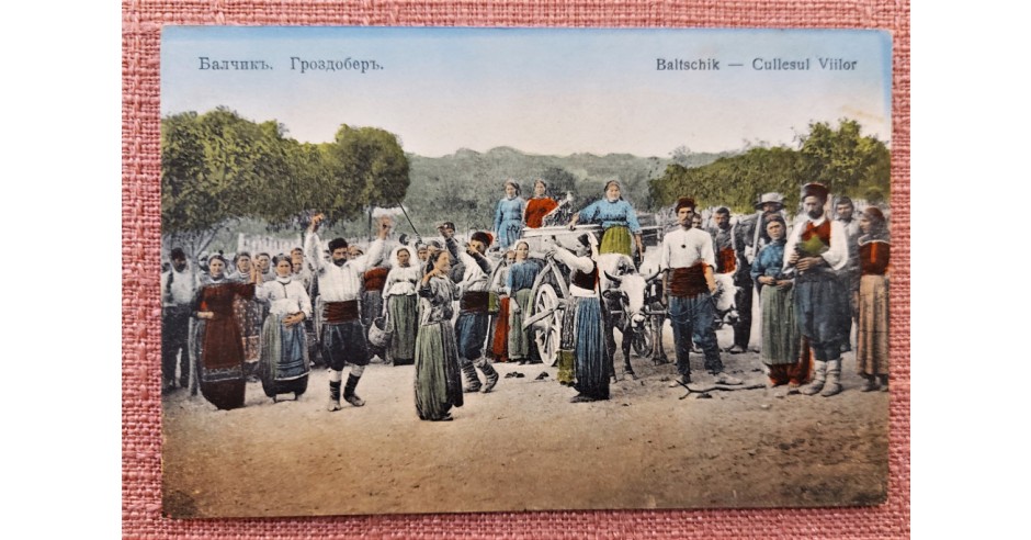 Balcic. Culesul viilor. Editie color de Constantin Racef, Balcic ...