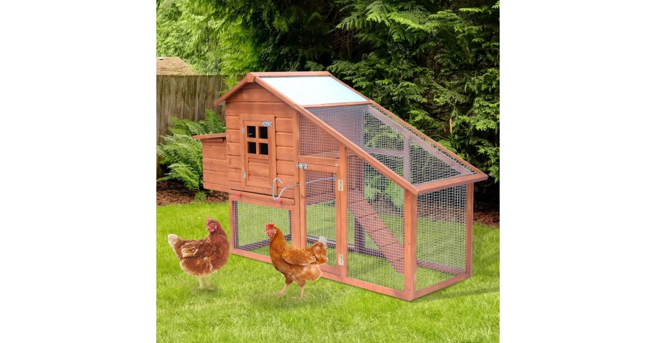 Cotet pentru pui cu tarc, D3-0021 - RESIGILAT | arhiva Okazii.ro