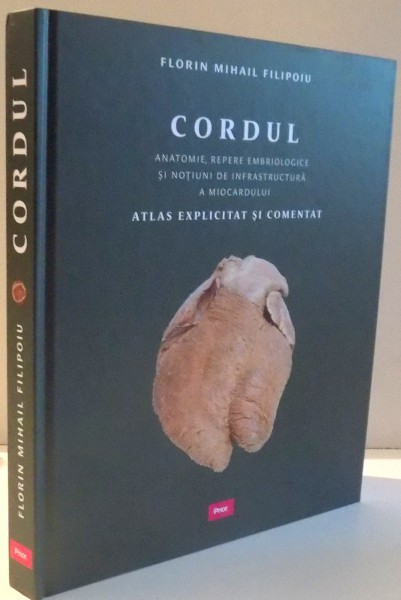 CORDUL, ANATOMIE, REPERE EMBRIOLOGICE SI NOTIUNI DE INFRASTRUCTURA A ...