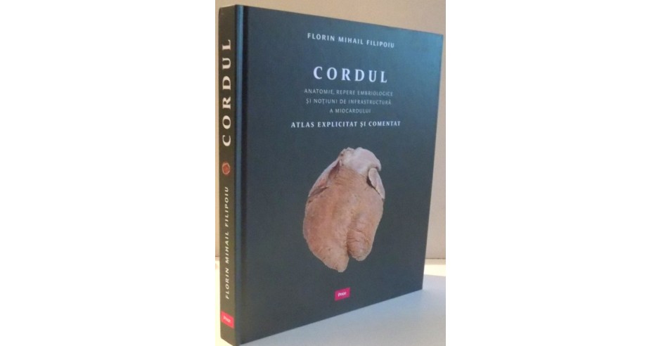 CORDUL, ANATOMIE, REPERE EMBRIOLOGICE SI NOTIUNI DE INFRASTRUCTURA A ...