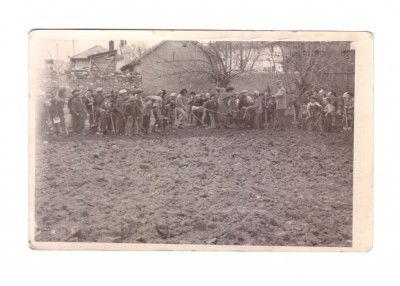 Foto de dimensiunea unei CP elevi in gradina scolii Medgidia 1951 ...