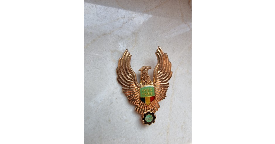 Insigna de aviatie aniversara, din perioada RSR | Okazii.ro