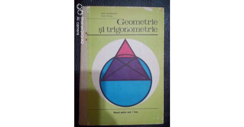 Geometrie si trigonometrie manual pentru anul I liceu-Laura ...