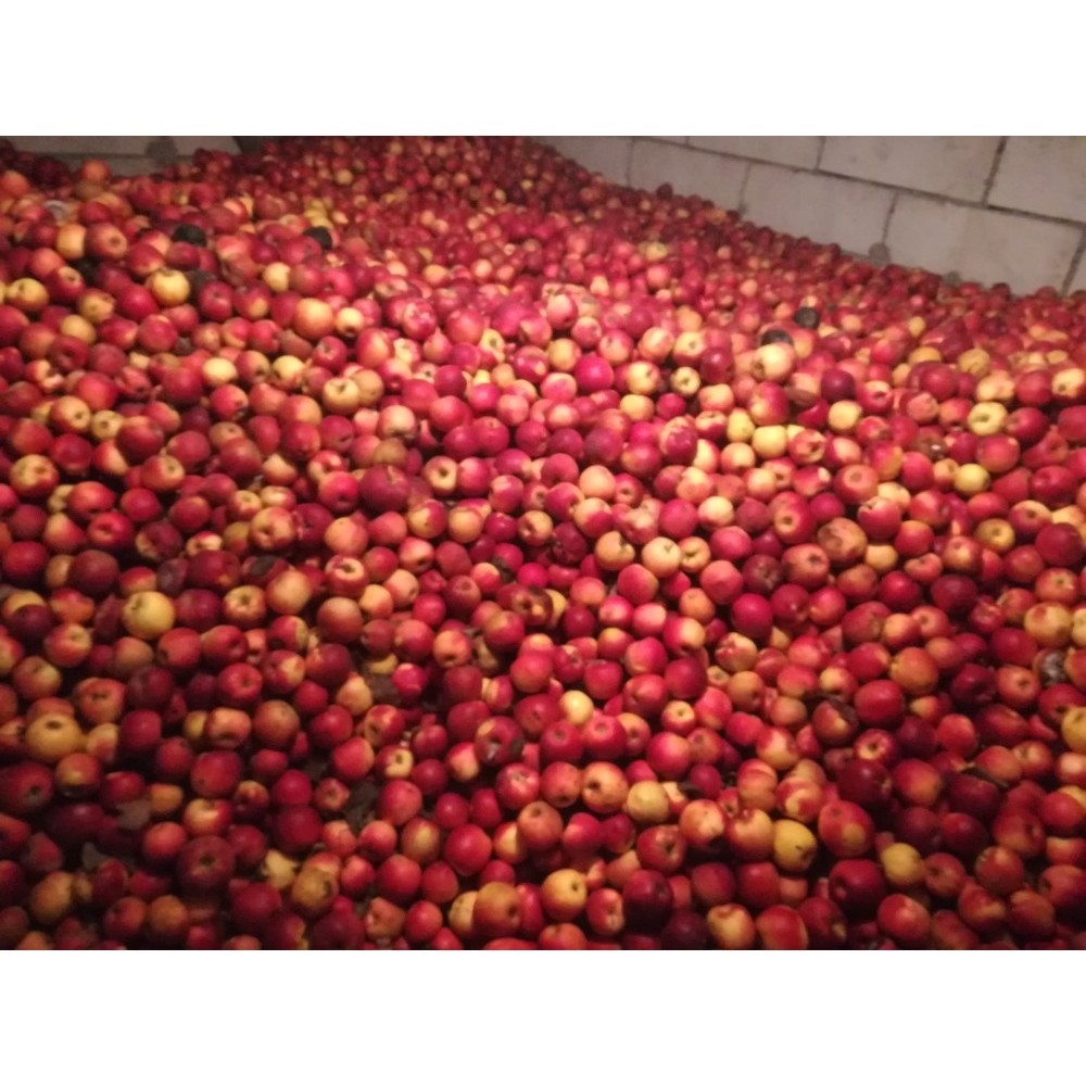 Vand mere Florina ?i Ionatan | arhiva Okazii.ro