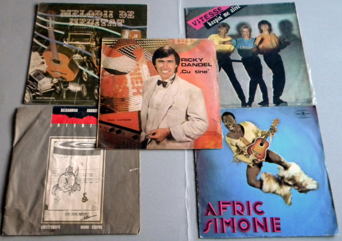 5 discuri de vinyl / vinil, Electrecord anii 80, Dandel, Andries ...