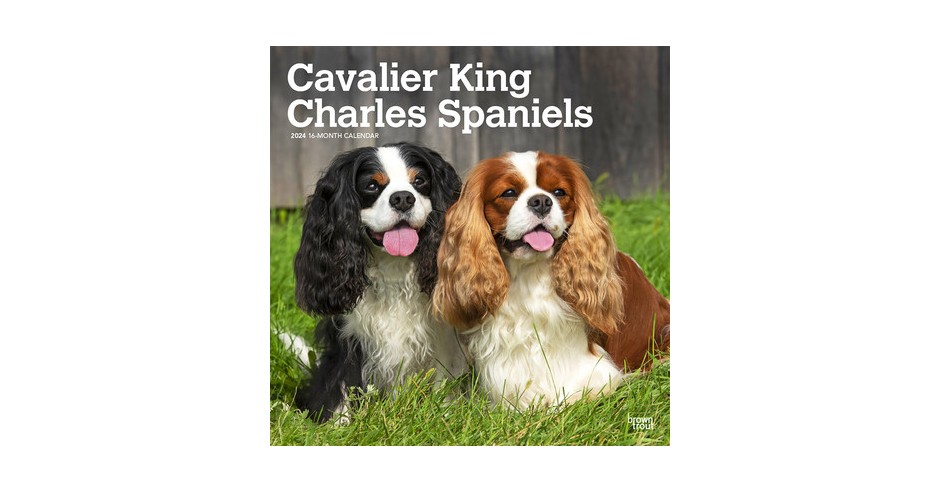 Cavalier King Charles Spaniels 2024 Square | Okazii.ro