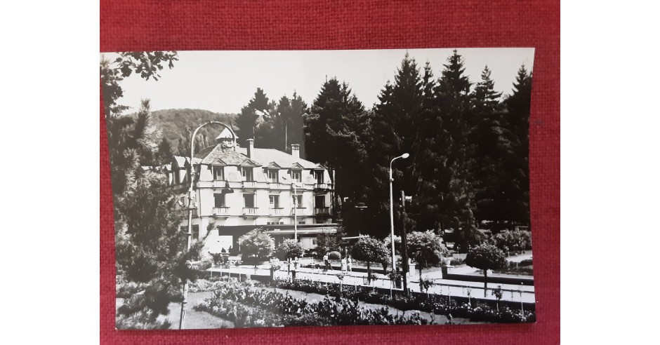 Sovata - Vedere din statiune - carte postala RPR necirculata | arhiva ...