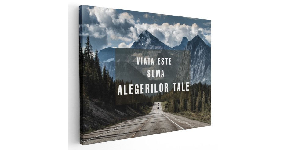 Tablou mesaj motivational despre viata 1478 Poster imprimat pe hartie ...