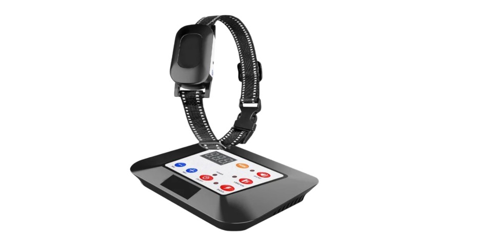 Gard fara fir pentru caini incapatanati, sistem electric de retinere a ...