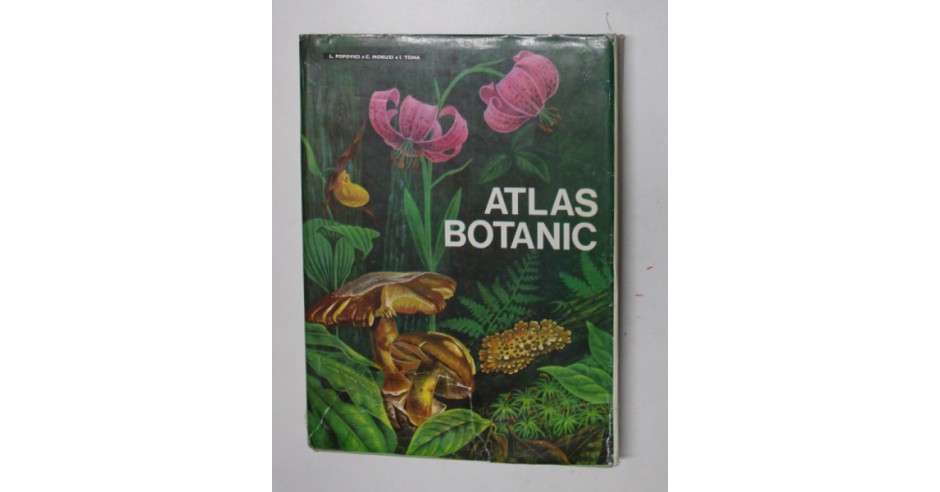 ATLAS BOTANIC de LUCIA POPOVICI , CONSTANTA MORUZI si ION TOMA , 1994 * EDITIE CARTONATA ...