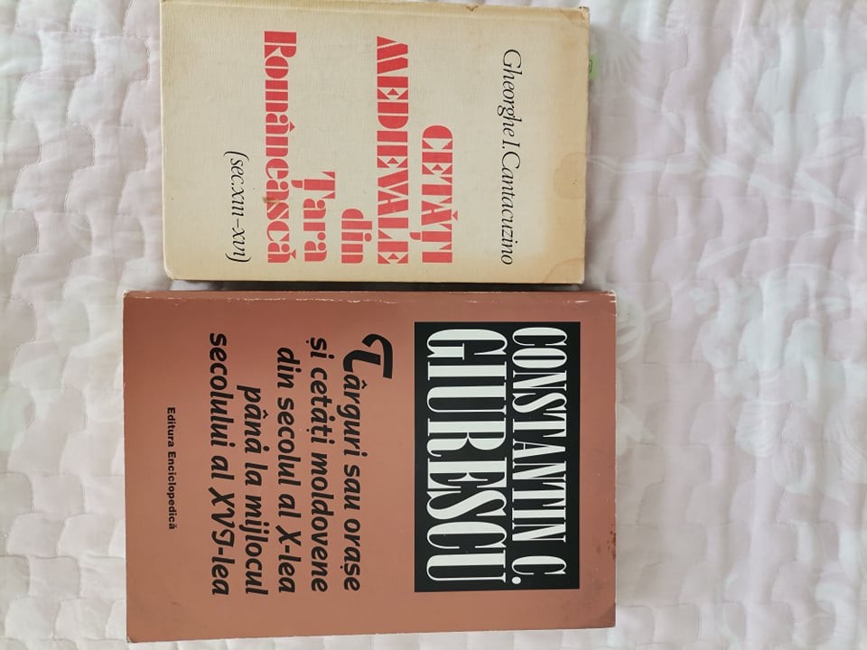 Cetati medievale din Tara Romaneasca + Targuri sau orase si cetati ...