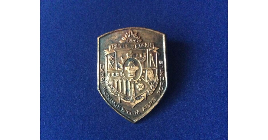 Insigna militara - Insigna Romania - Insigna pentru Trupele de Geniu ...