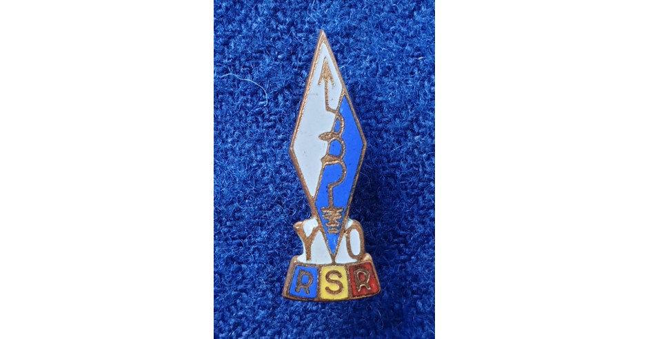 Insigna veche elevi, scolari, pionieri Radioamatori RSR 1970 | arhiva ...