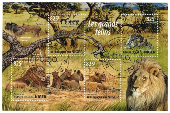 NIGER 2015 - Fauna, Feline mari / colita noua, Stampilat | Okazii.ro