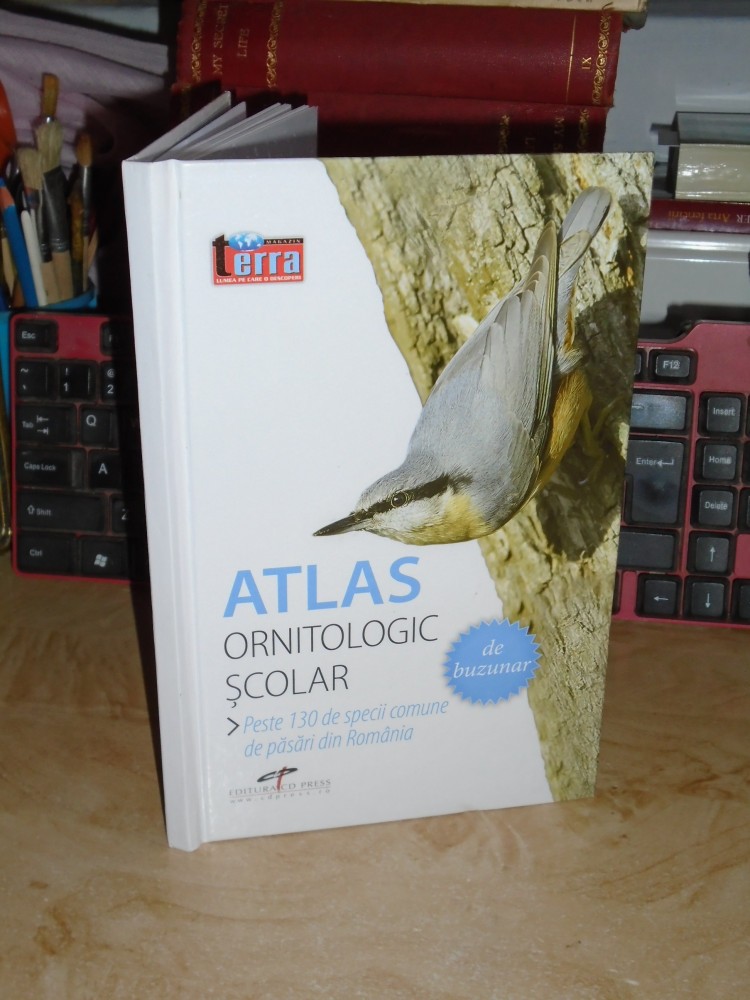 ATLAS ORNITOLOGIC SCOLAR : 130 SPECII DE PASARI DIN ROMANIA | arhiva ...