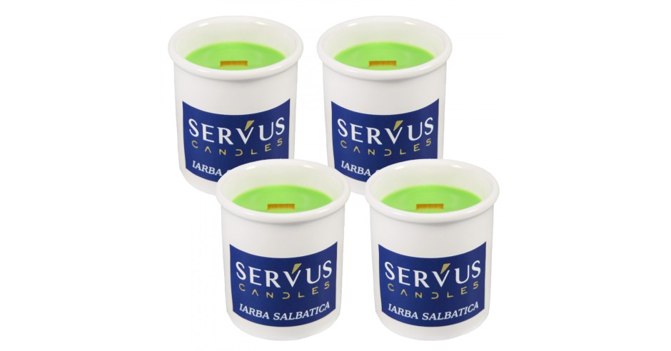 Set 4 Lumanari Parfumate Iarba Salbatica cu fitil din lemn | arhiva ... Set 4 Lumanari Parfumate Iarba Salbatica cu fitil din lemn | arhiva ...
