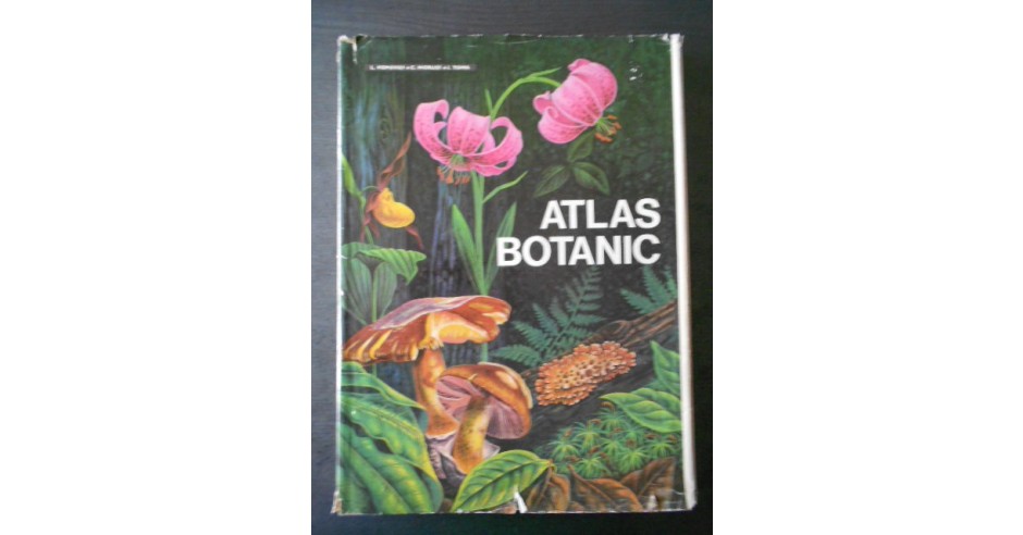 L. POPOVICI - ATLAS BOTANIC {1973} | arhiva Okazii.ro