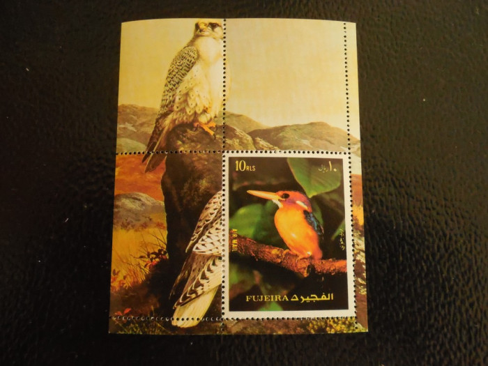 Bloc timbre pasari animale fauna Fujeira nestampilate, Nestampilat ...