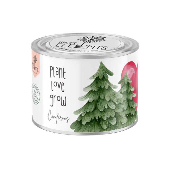 Kit de plantare Uplift, cu seminte de Arbore conifer | Okazii.ro