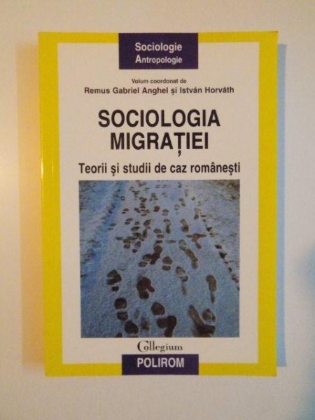 Sociologia migratiei Teorii si studii de caz romanesti Istvan Horvath ...