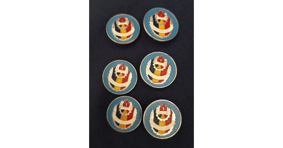 Lot de ?ase insigne PIONIERI - PENTRU APARAREA PATRIEI - aluminiu ...