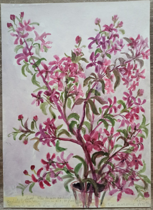 Flori de mar// acuarela Rodica Raileanu 1994, Portrete, Cerneala, Altul ...