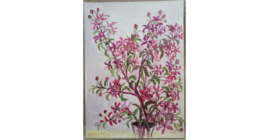 Flori de mar// acuarela Rodica Raileanu 1994, Portrete, Cerneala, Altul ...