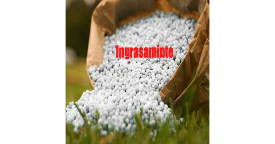 Ingrasamant complex NPK 15-15-15 sac 50 kg | arhiva Okazii.ro