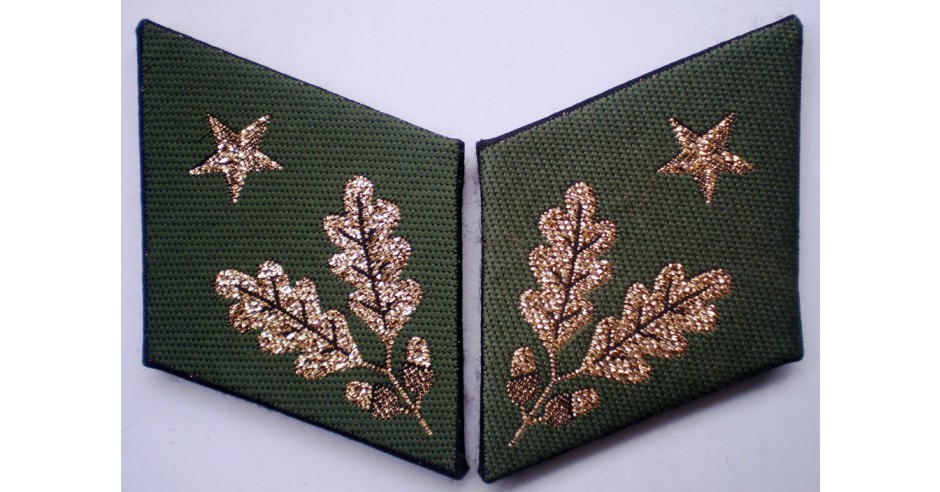 5.651 PER. PETLITE ROMSILVA SILVICULTURA DIRECTIA SILVICA INGINER ...