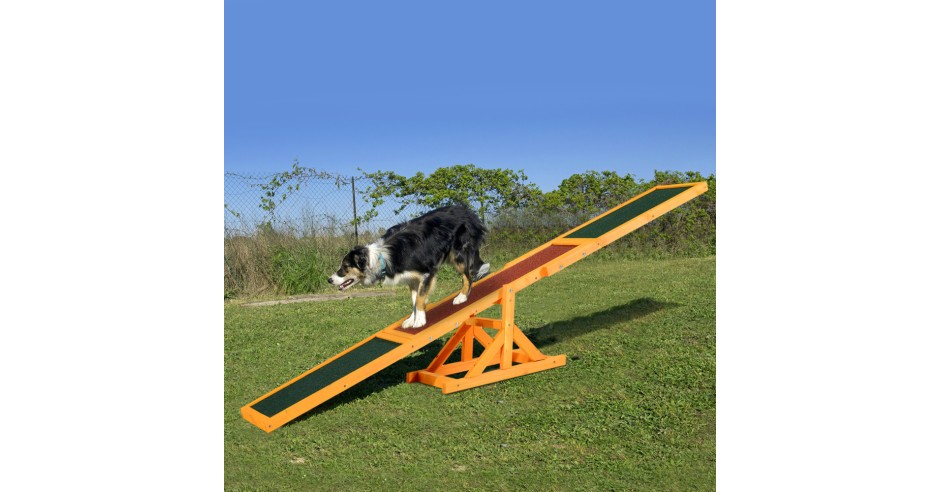 Balansoar Pawhut pentru dresaj de agilitate pentru caini din lemn de ...
