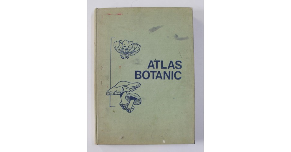 ATLAS BOTANIC de LUCIA POPOVICI , CONSTANTA MORUZI , ION TOMA , 1994 ...