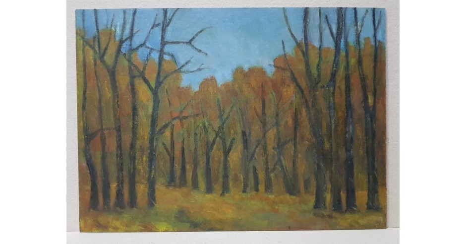 ARHITECT RADU MARIUS OCTAV - PADURE TOAMNA ,- PEISAJ NESEMNAT | Okazii.ro