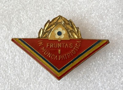Fruntas in munca patriotica, locul I - insigna pentru pionieri din ...