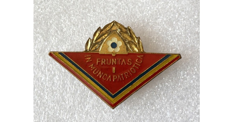 Fruntas in munca patriotica, locul I - insigna pentru pionieri din ...