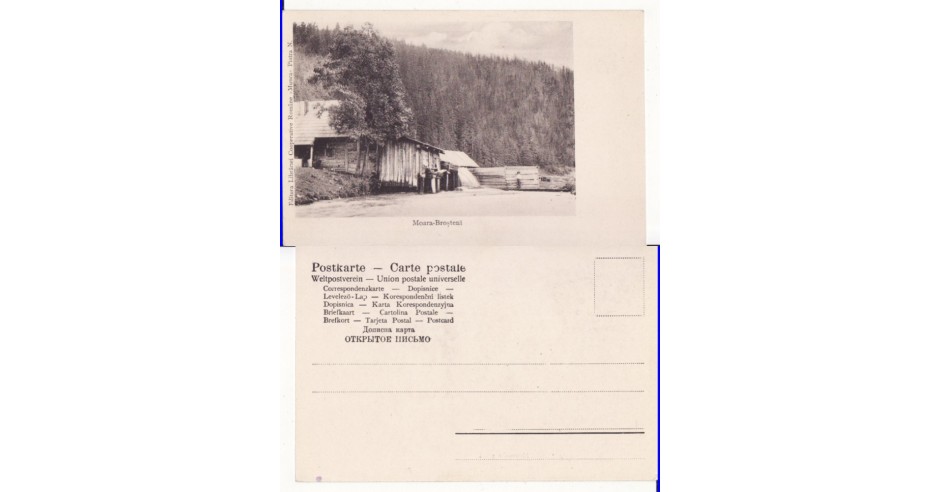 Moara Brosteni- (Bucovina, Suceava)- clasica, rara | arhiva Okazii.ro