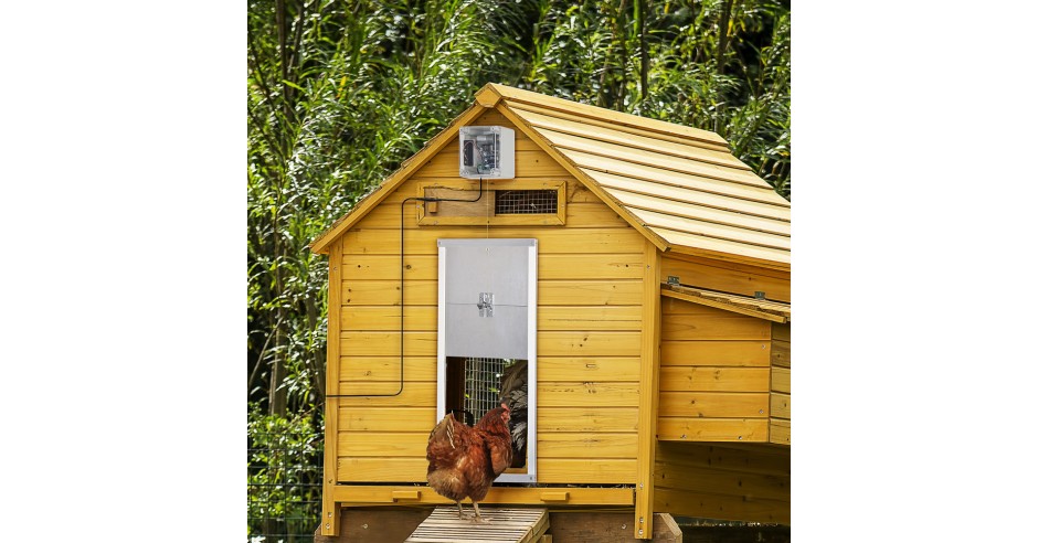 Usa automata pentru cotet pentru pui PawHut cu temporizator si senzor ...