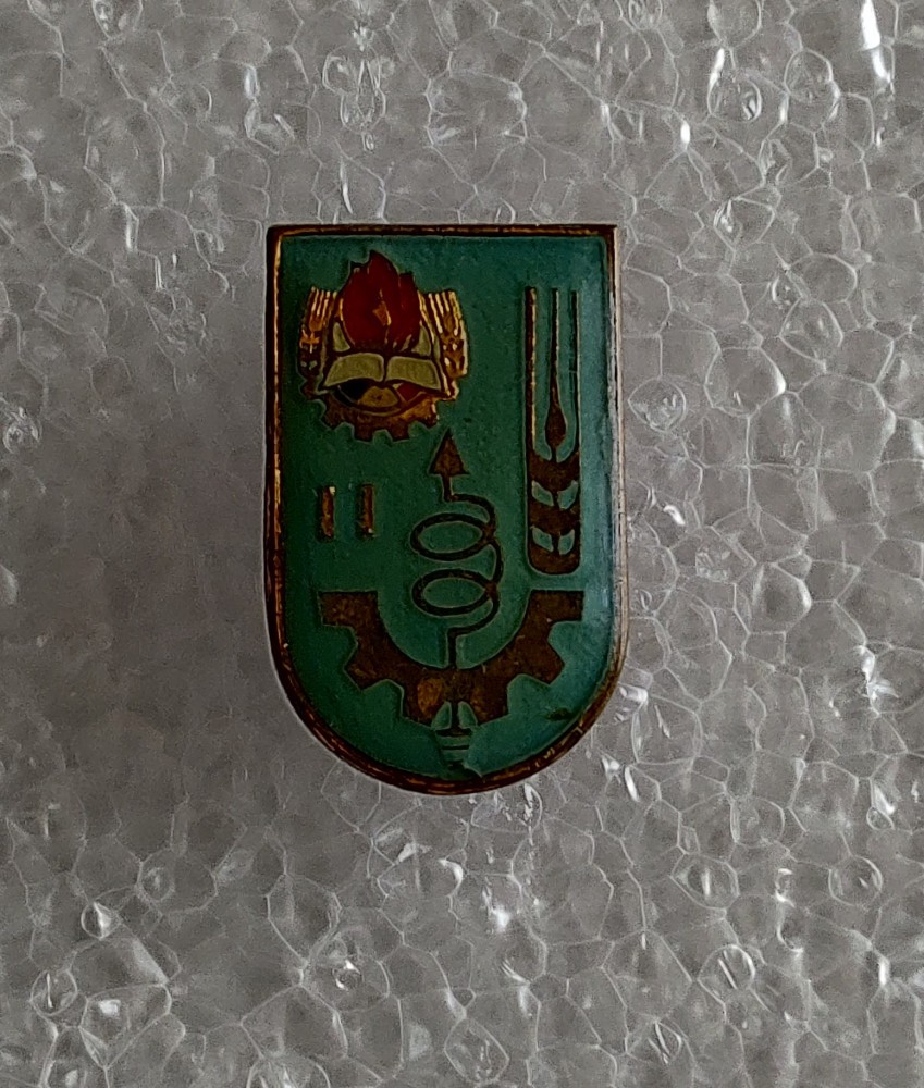 Insigna pionieri - Pionier inventator clasa a II-a | arhiva Okazii.ro