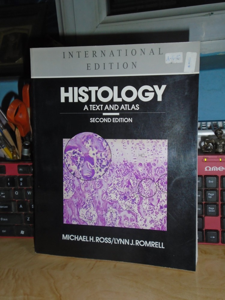 MICHAEL ROSS - HISTOLOGIE / HISTOLOGY * A TEXT AND ATLAS , SECOND ...