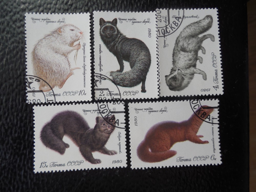 Serie timbre fauna animale stampilate URSS timbre filatelice postale ...