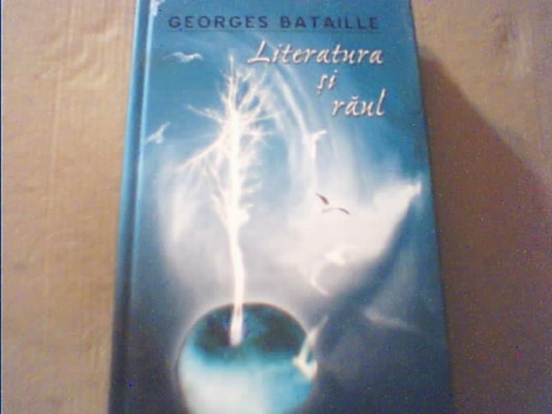 Georges Bataille - LITERATURA SI RAUL { Rao, 2008 } | arhiva Okazii.ro