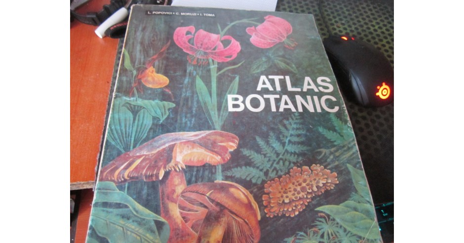 atlas botanic an 1993 h 28 | arhiva Okazii.ro