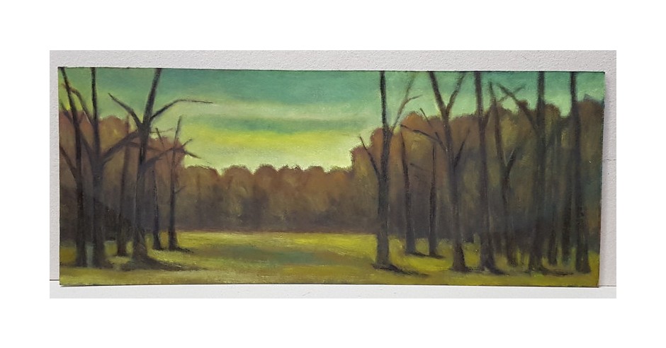 ARHITECT RADU MARIUS OCTAV - POIANA IN PADURE , TOAMNA - PEISAJ ...