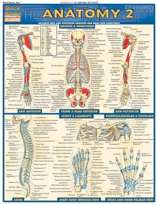 Anatomy Laminate Reference Chart: Includes Deep and Posterior Anatomy ...