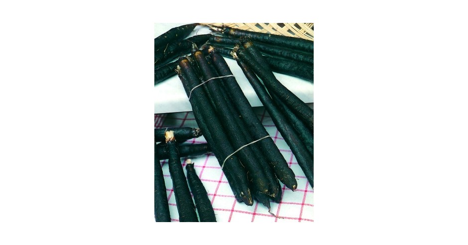 Seminte de SCORZONERA HISPANICA- BARBA CAPREI -SCORTONERA - 5 seminte ...