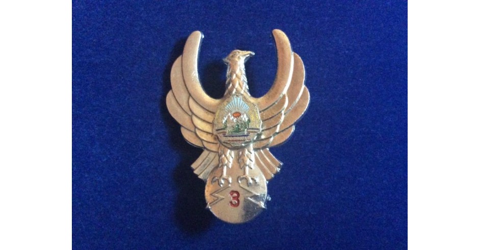 INSIGNA MILITARA-SPECIALIST DE CLASA - RADIOTELEGRAFIST DE BORD-RSR ...