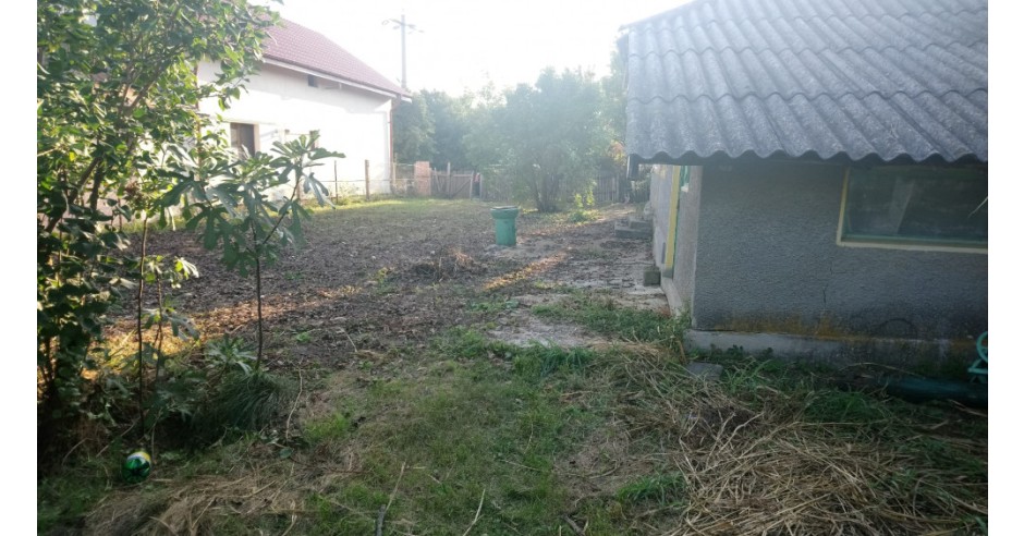 Casa batraneasca Gruiu - Snagov cu teren 5000 mp | arhiva Okazii.ro