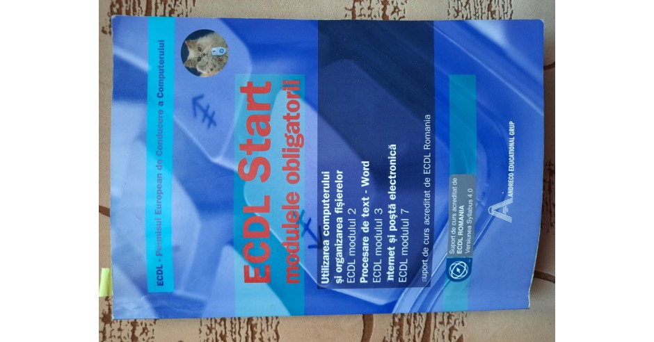 Manual ECDL Calcul tabelar - Microsoft Excel, Manual ECDL Baze de date | arhiva Okazii.ro