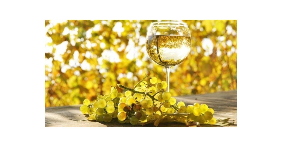 ?? Vand vin natural. | arhiva Okazii.ro